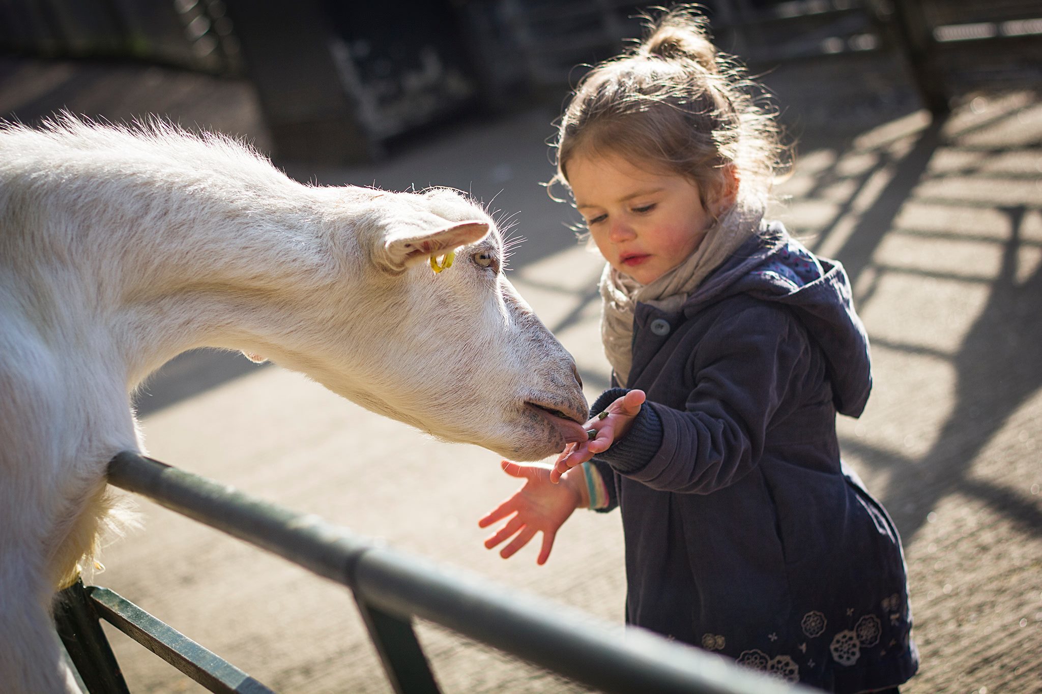 Ridgeway Views is a luxurious redevelopment comprising 460 units from ...